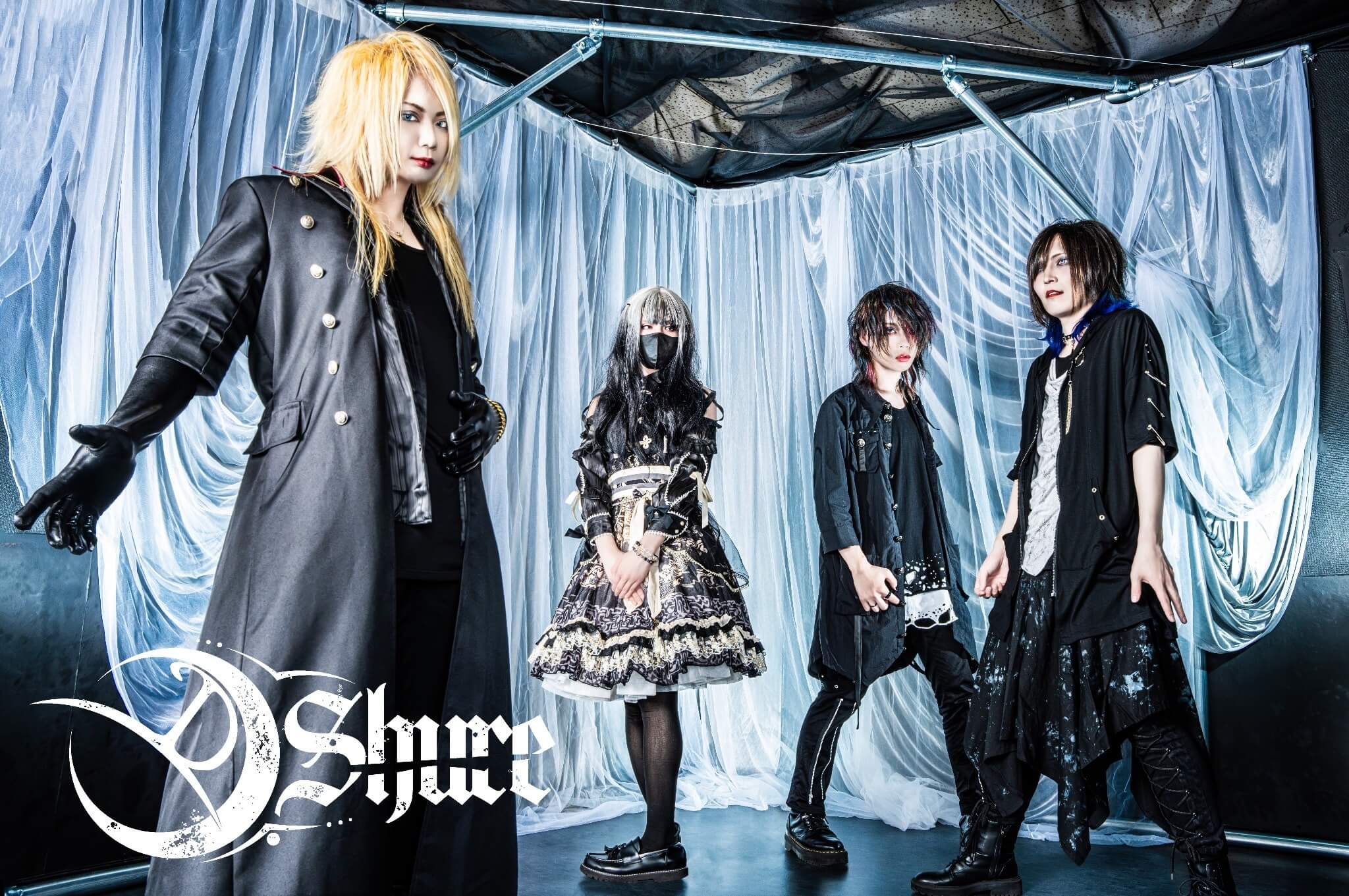 Gizen Aggregation - D-shure | vkgy (ブイケージ)