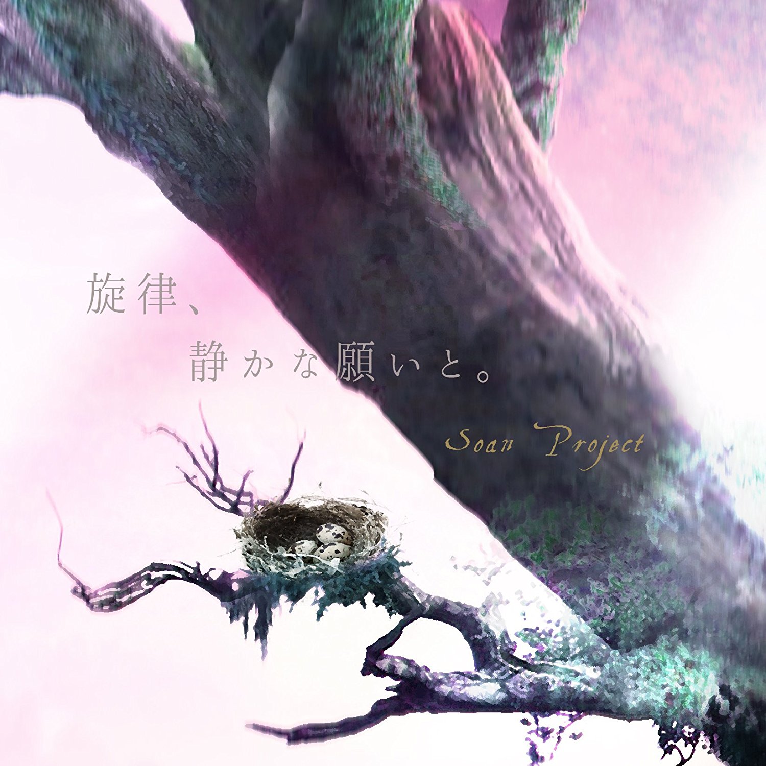 Senritsu, Shizukana Negai to - Soan Project with Temari | vkgy (ブイケージ)