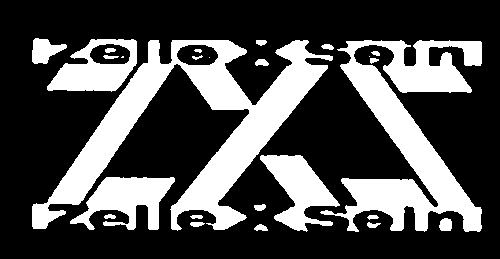 ZXS logo | vkgy (ブイケージ)