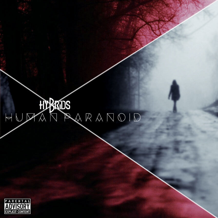 HYBRIDS discography | HYBRIDSディスコグラフィ | vkgy (ブイケージ)