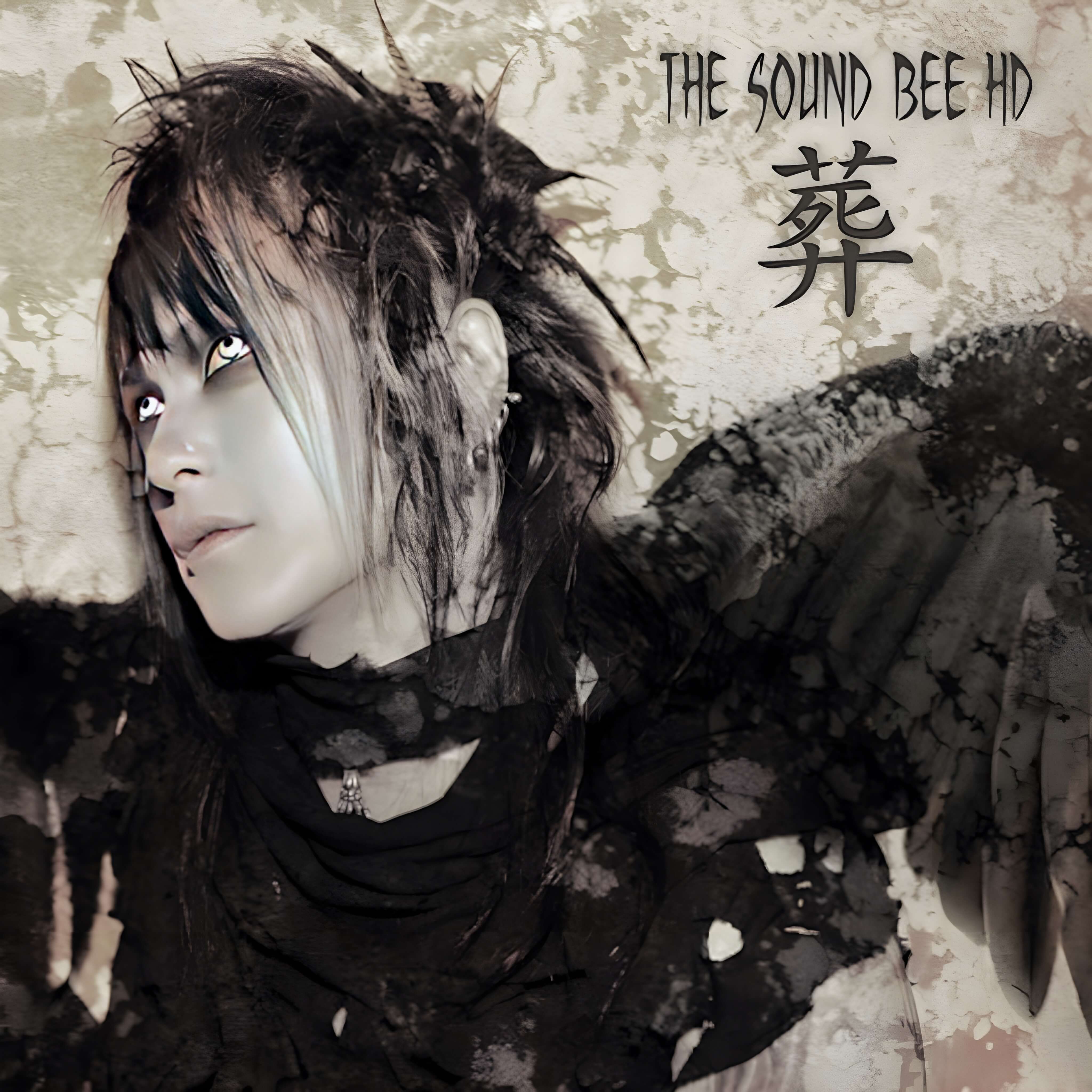 THE SOUND BEE HD discography | THE SOUND BEE HDディスコグラフィ | vkgy (ブイケージ)