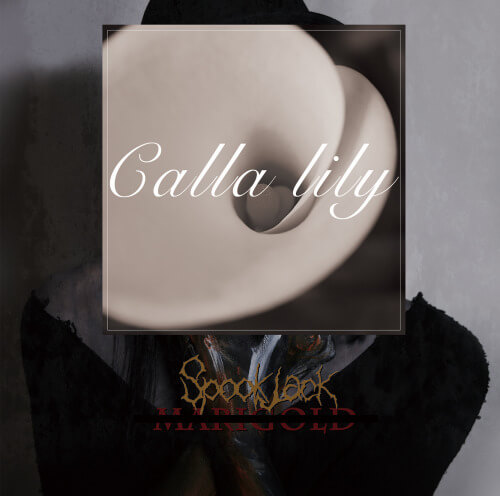 Calla lily - Spook Jack | vkgy (ブイケージ)