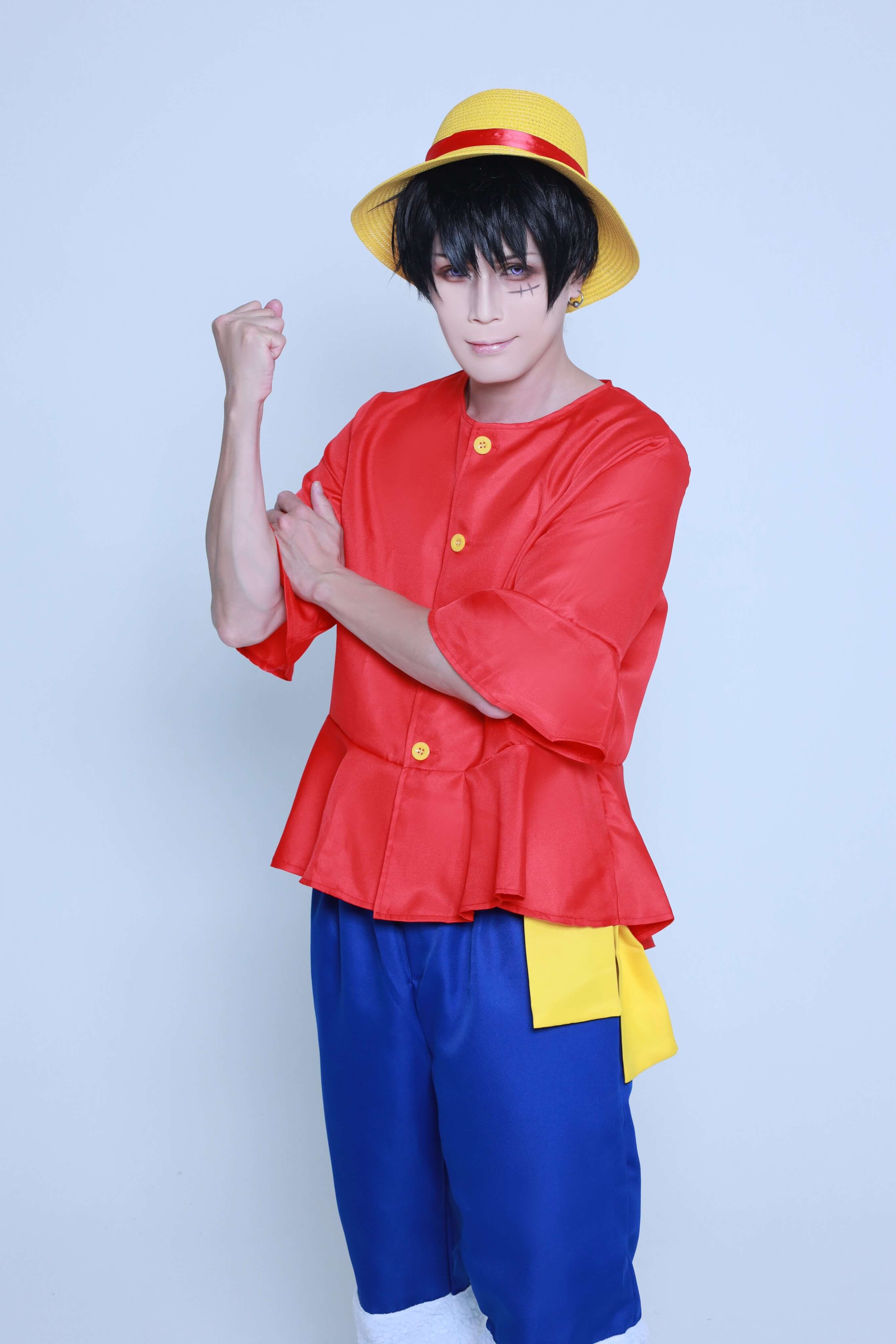 One Piece V. Luffy solo photo | vkgy (ブイケージ)