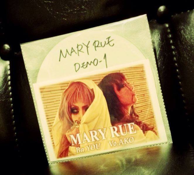 DEMO 2枚組 - MARY☆RUE | vkgy (ブイケージ)
