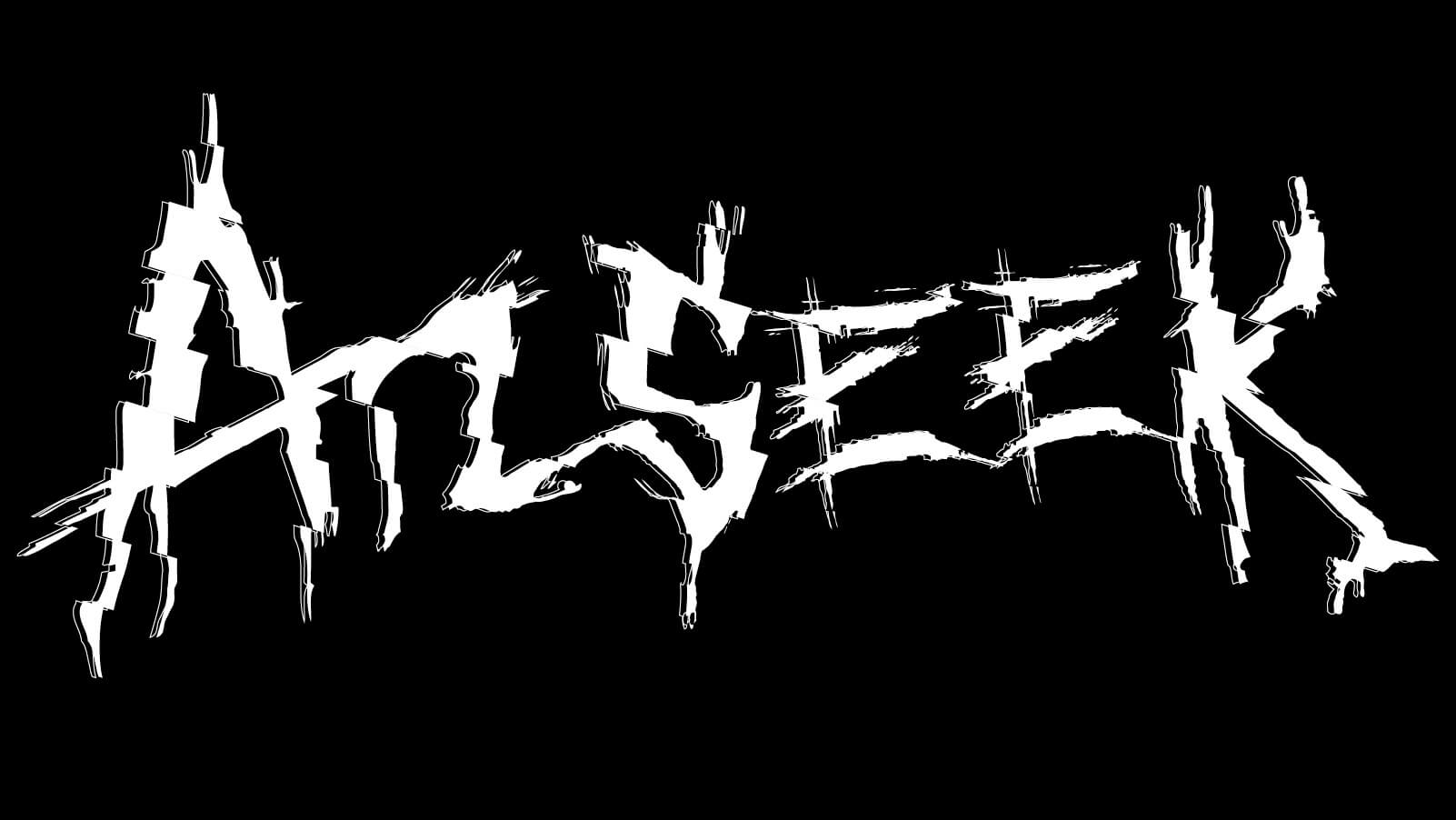 ANSEEK logo | vkgy (ブイケージ)