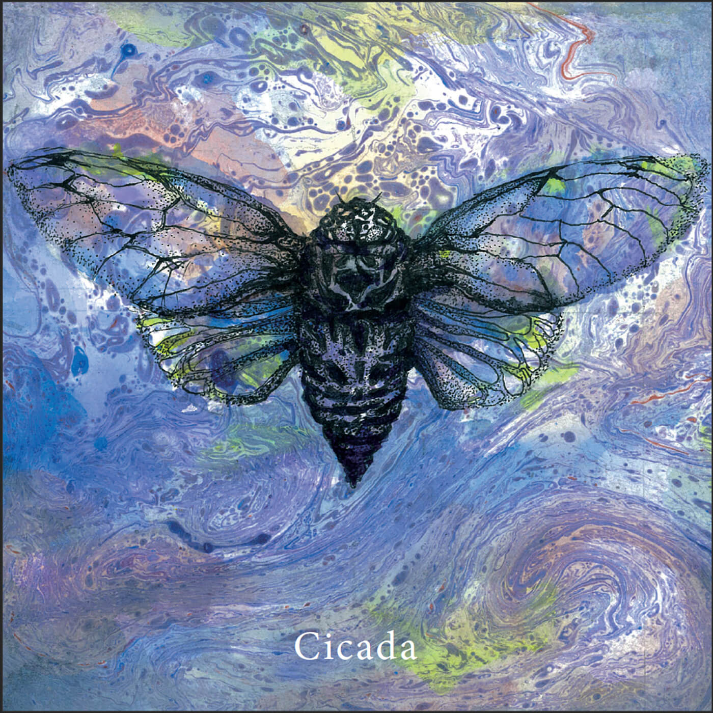 Cicada - ms. isohp romatem | vkgy (ブイケージ)