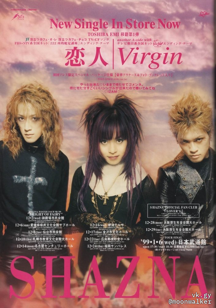 SHAZNA flyer | vkgy (ブイケージ)