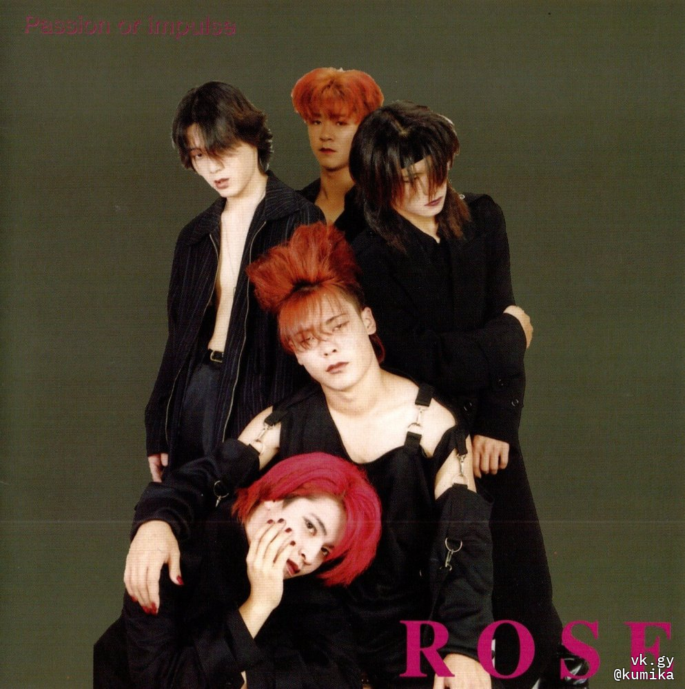 Passion or impulse - ROSE | vkgy (ブイケージ)