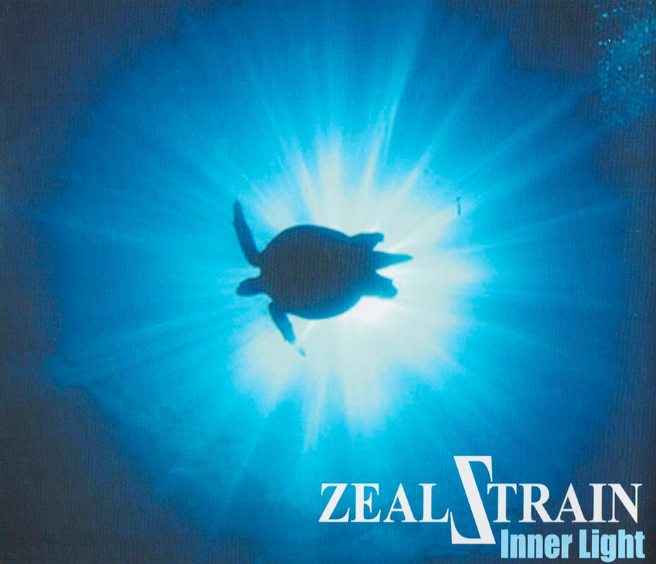 Inner Light - ZEAL STRAIN | vkgy (ブイケージ)
