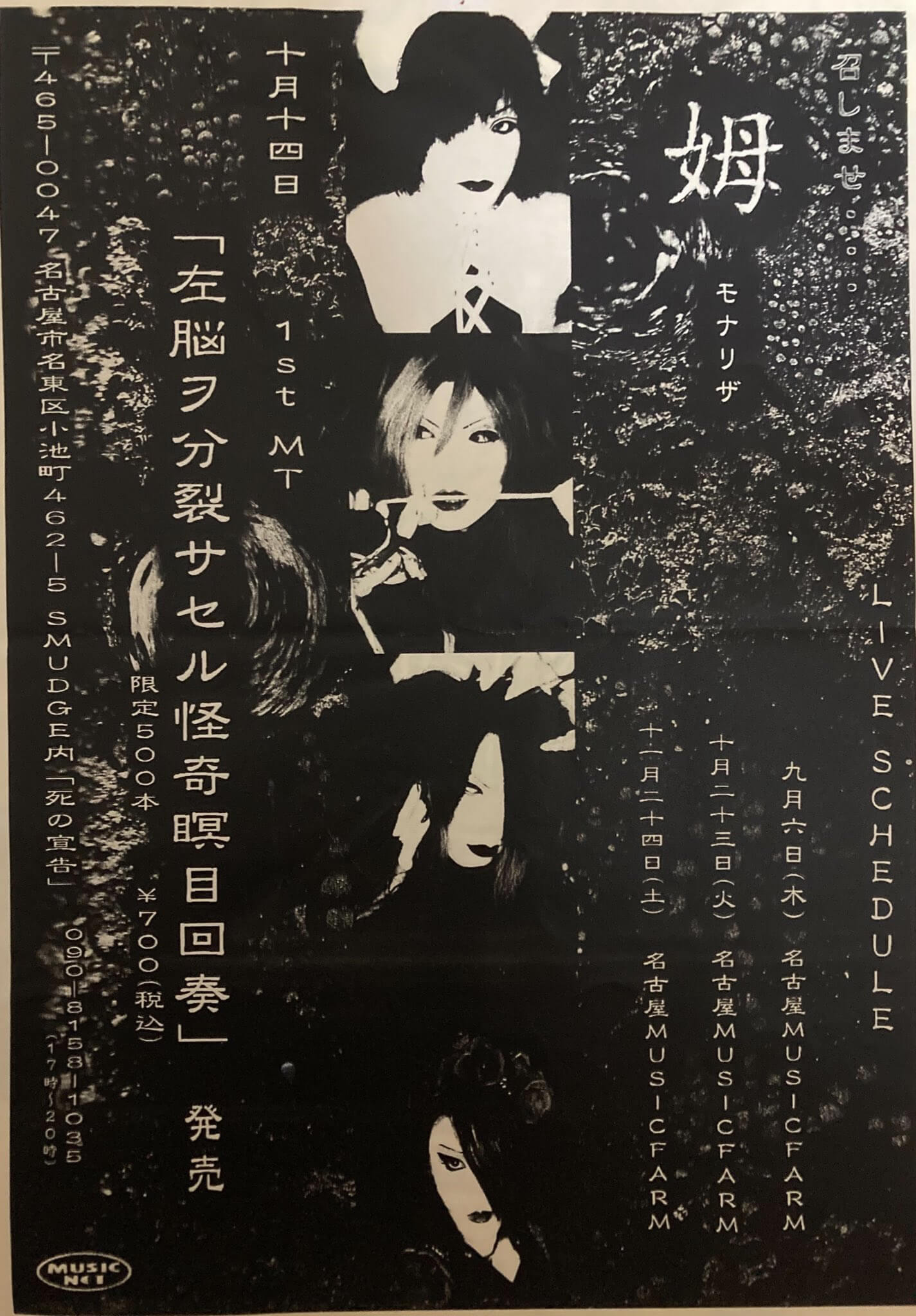 mona lisa flyer | vkgy (ブイケージ)