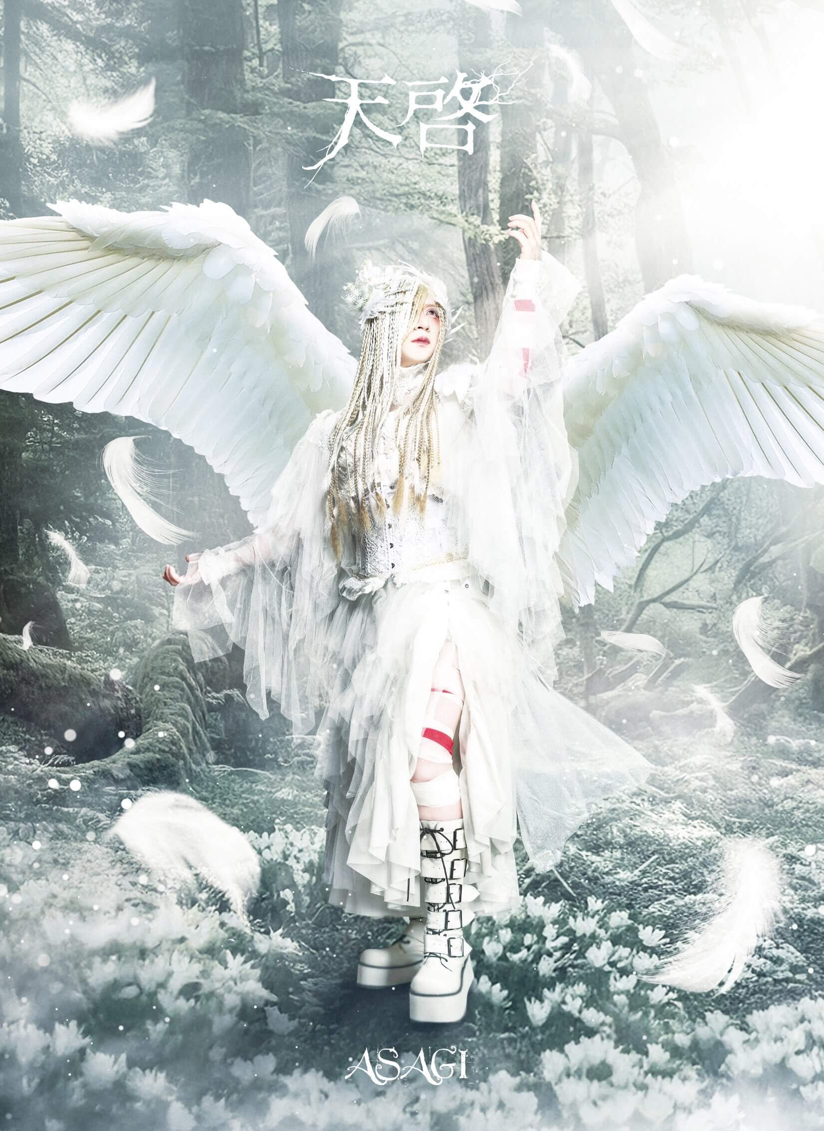 Tenkei Suuryou Gentei Goukaban - ASAGI | vkgy (ブイケージ)