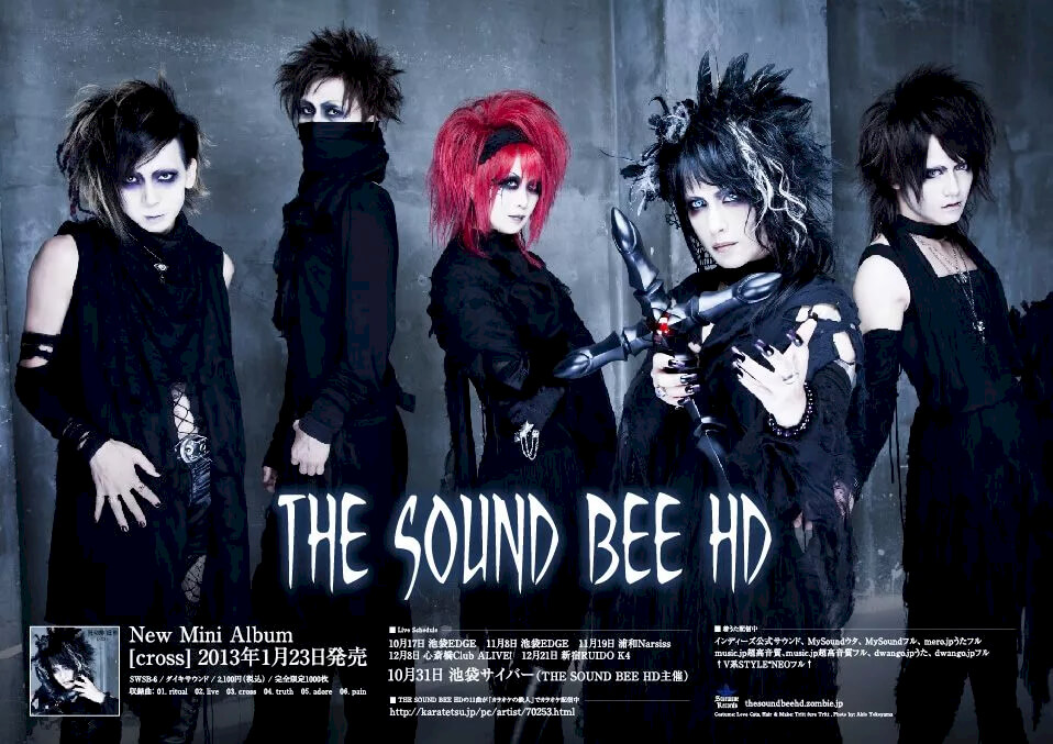THE SOUND BEE HD group photo | vkgy (ブイケージ)