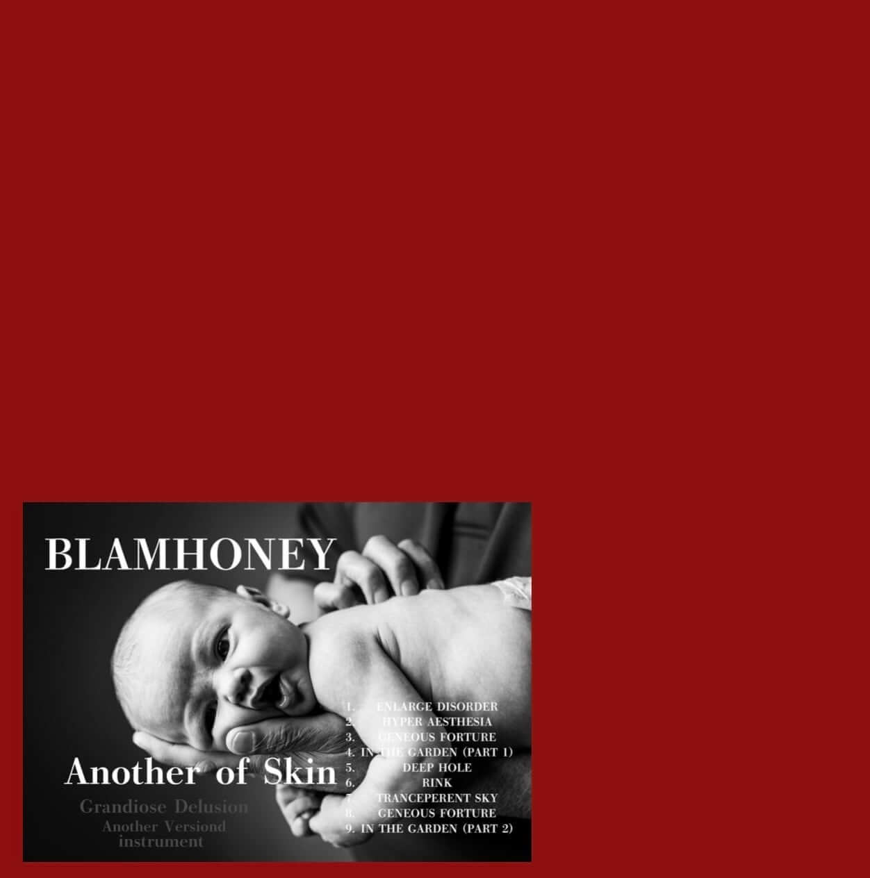Another of Skin Grandiose Delusion - BLAM HONEY | vkgy (ブイケージ)