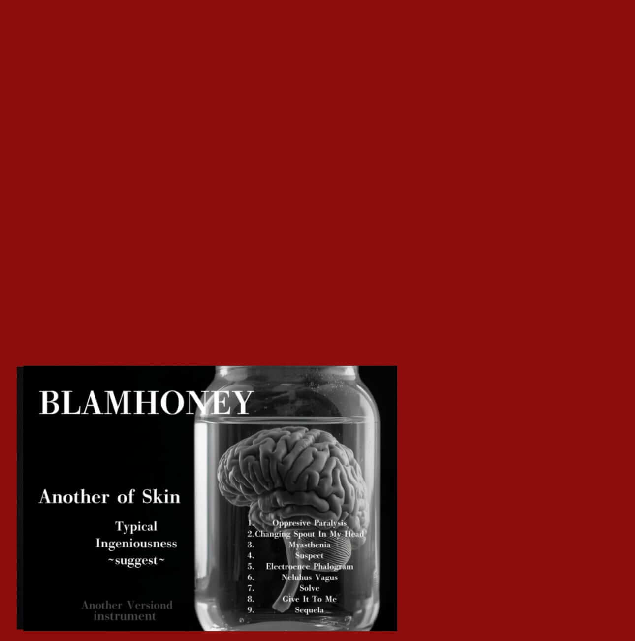 Another of Skin Typical Ingeniousness ~suggest~ - BLAM HONEY | vkgy (ブイケージ)