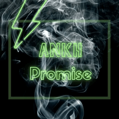 Promise - ANKH | vkgy (ブイケージ)