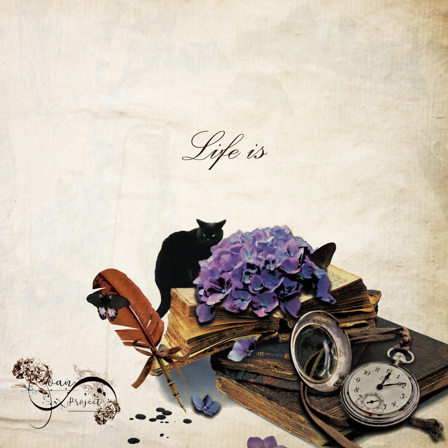 Life is - Soan Project with Temari | vkgy (ブイケージ)