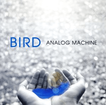 ANALOG MACHINE discography | ANALOG MACHINEディスコグラフィ | vkgy (ブイケージ)
